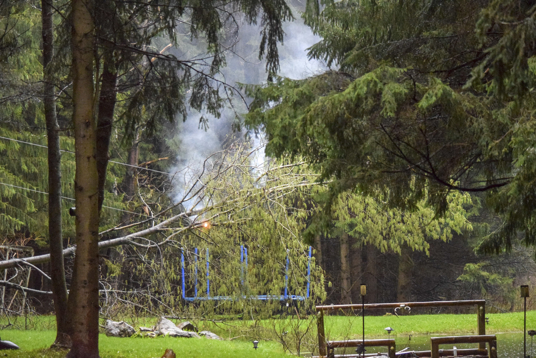 Tree falls on electric line | News, Sports, Jobs - Observer Today